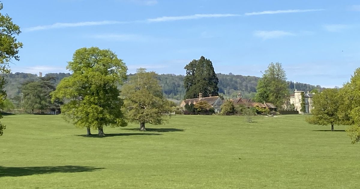 Leith Hill to Jayes Park - Ramblers